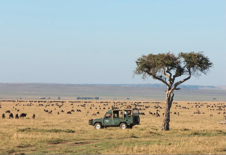 A Safari to Find Africa's Mythological Beasts