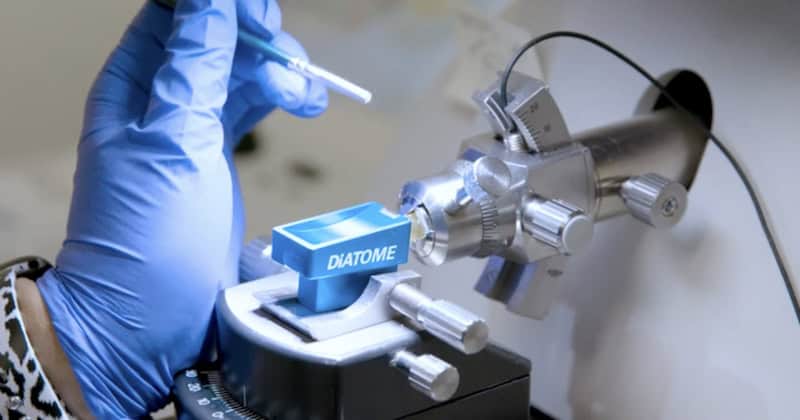 Arkana Laboratories Investing $30M In Little Rock Expansion