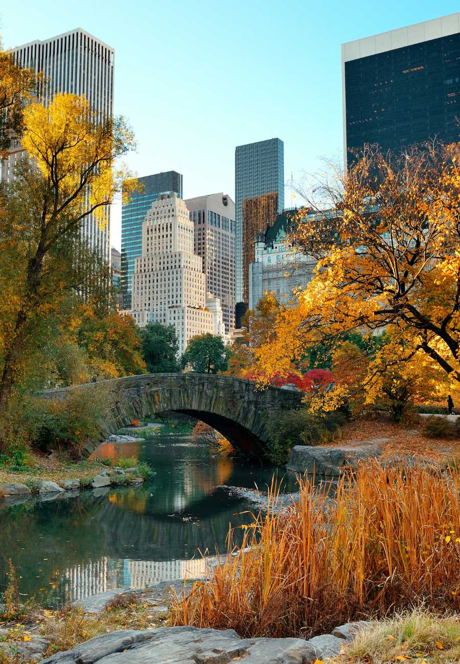 Kid-Friendly Travel Guide To New York City With Kids