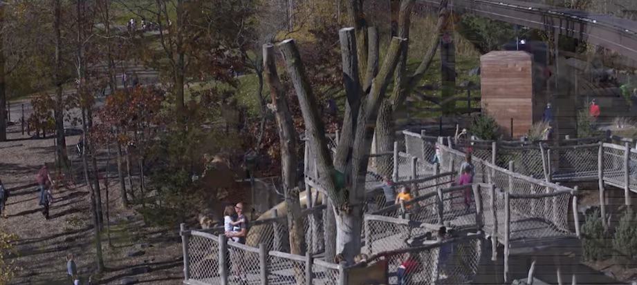 Minnesota Zoo Treetop Trail Opens To The Public
