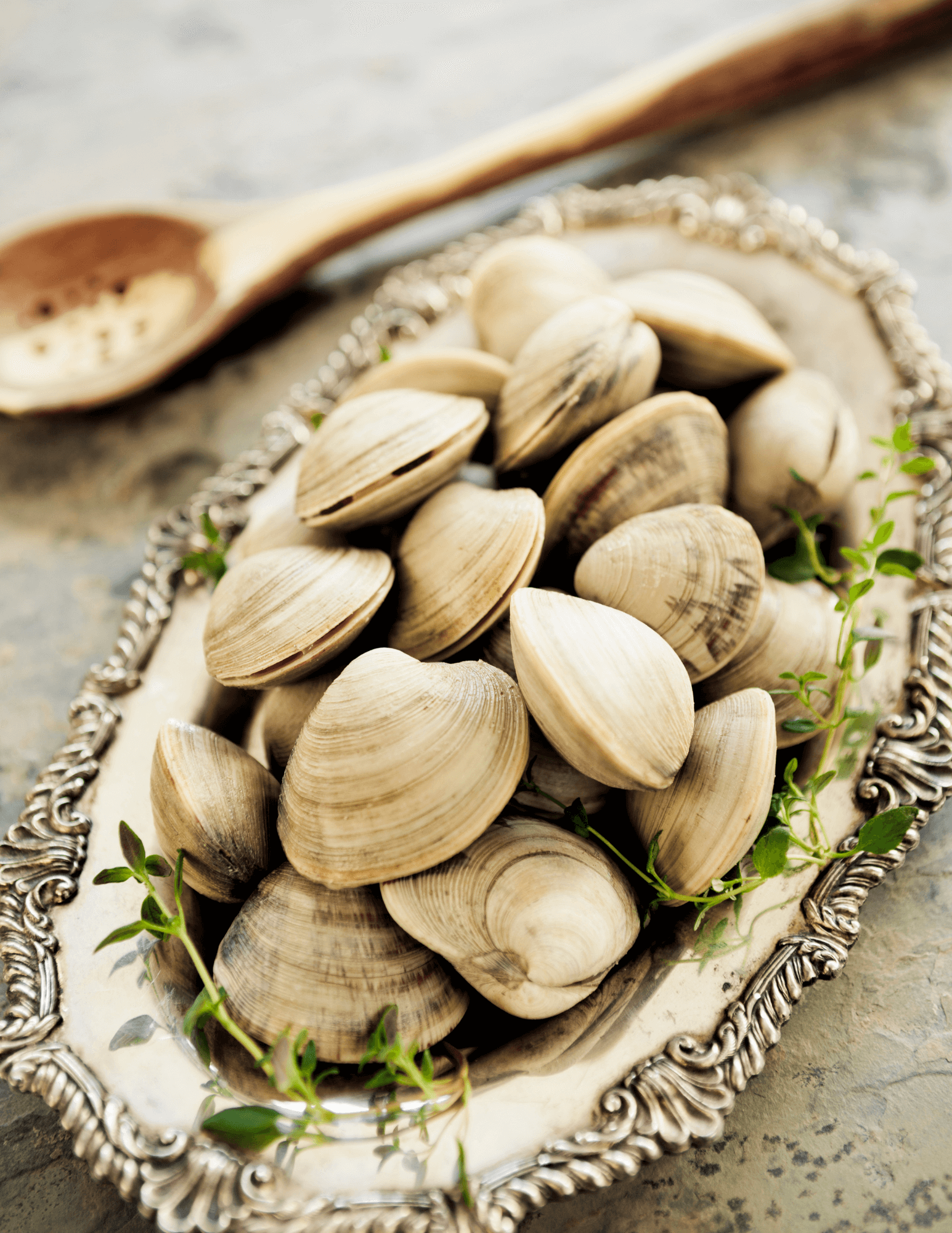 Premium Fresh Seafood Wholesale and Delivery | Groomer's Seafood