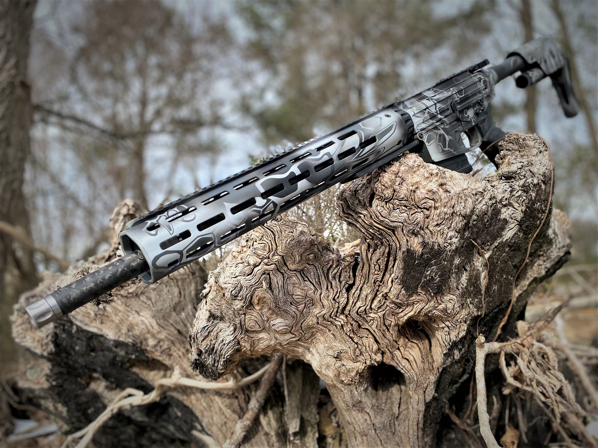 Alpha Carbon AR Platform Rifle - DNA Firearm Systems