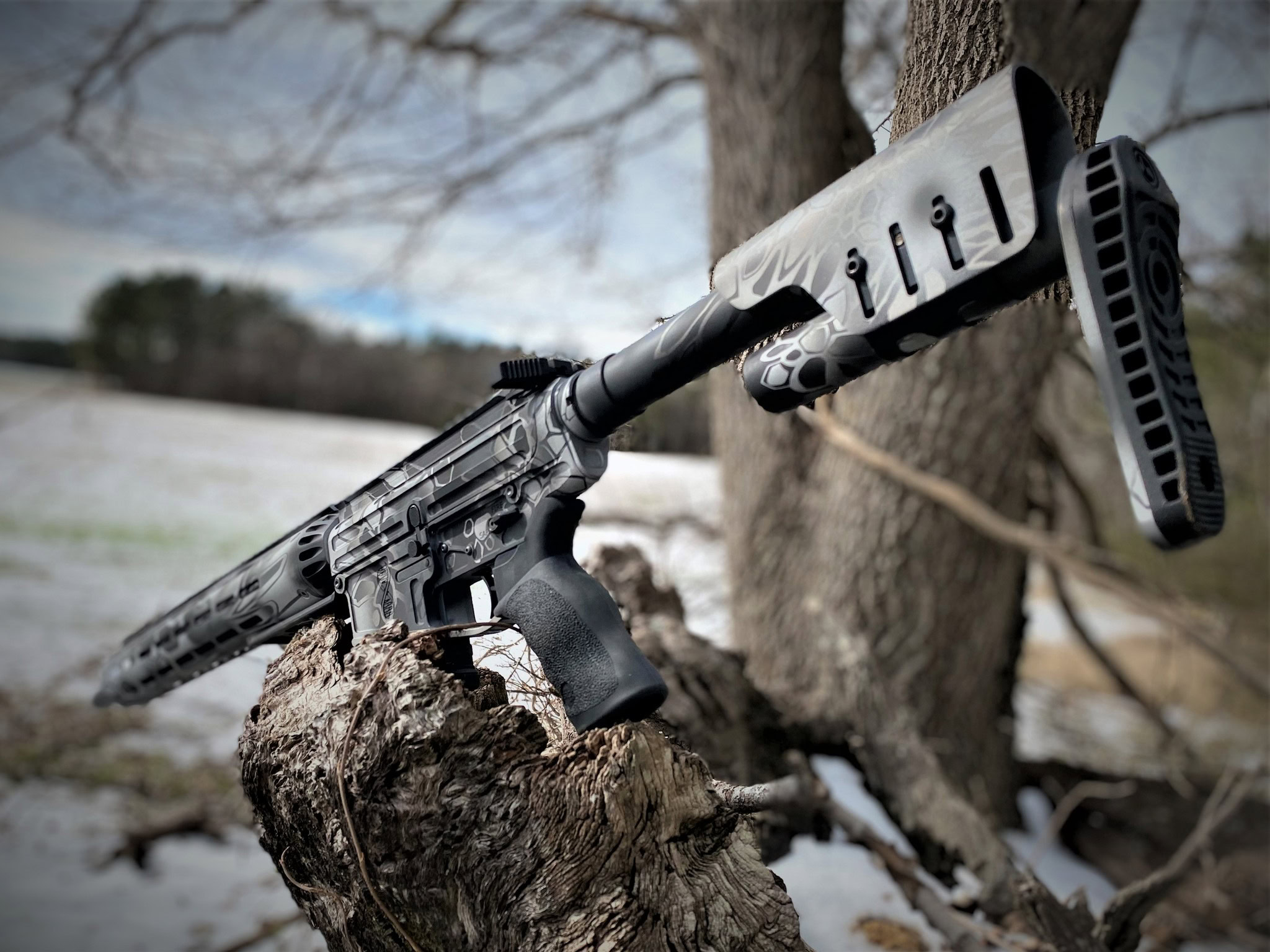 Alpha Carbon AR Platform Rifle - DNA Firearm Systems