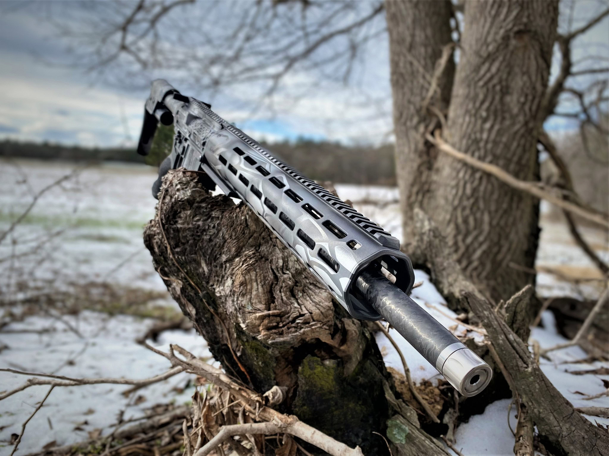 Alpha Carbon AR Platform Rifle - DNA Firearm Systems