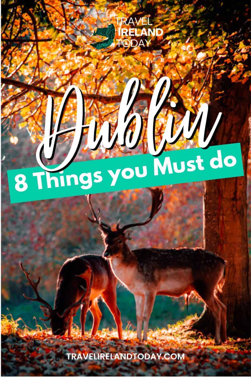 8 Things You Must Do In Dublin | Travel Ireland Today