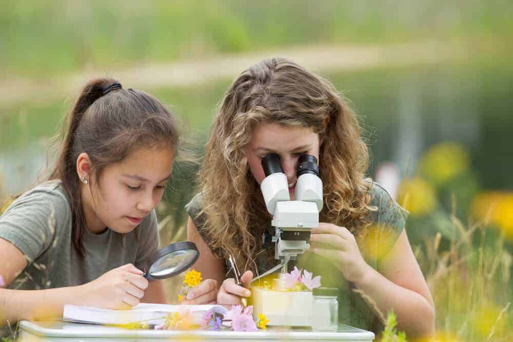 What are the Benefits of Outdoor Learning for Children? - Rachel Bustin