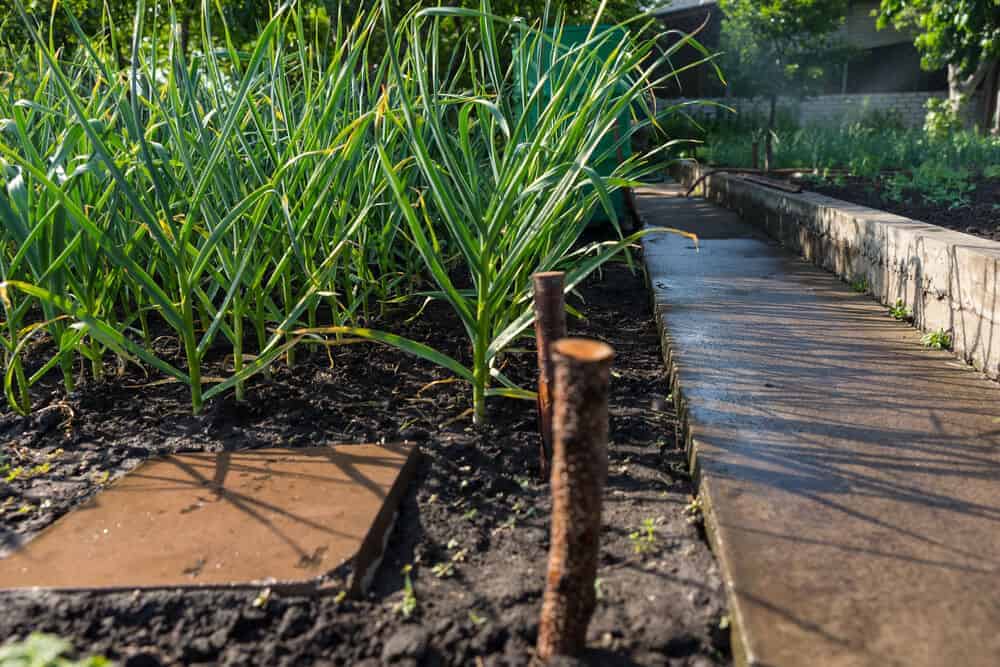 Garden ‘Rooms’: Dividing Your Garden Into Sections - Rachel Bustin
