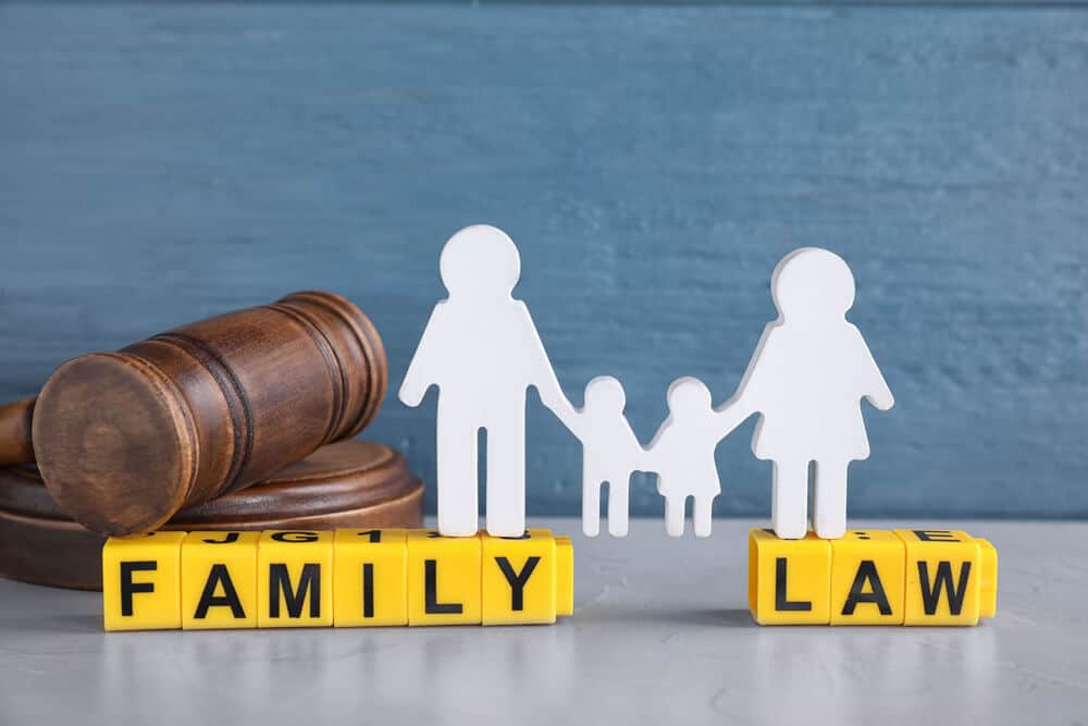 Parental Rights and Child Safety: Insights into Family Law