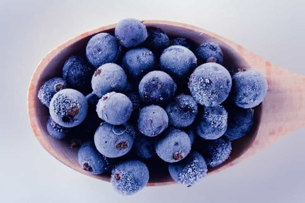 Easy Refreshing Blueberry Slushie Recipe - Rachel Bustin