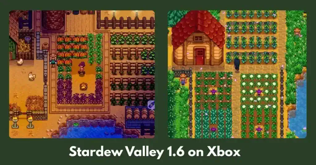 Stardew Valley 1.7 Update: New Farm Type, Social Features & What’s ...
