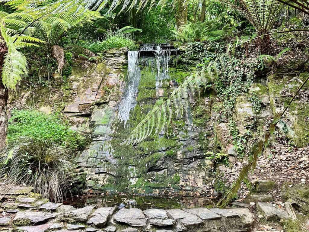 Trebah Garden Review: Exploring a Sub-Tropical Paradise