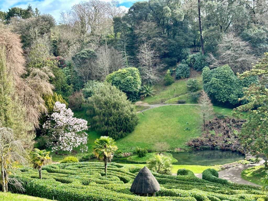 Things to Do in Cornwall May Half Term