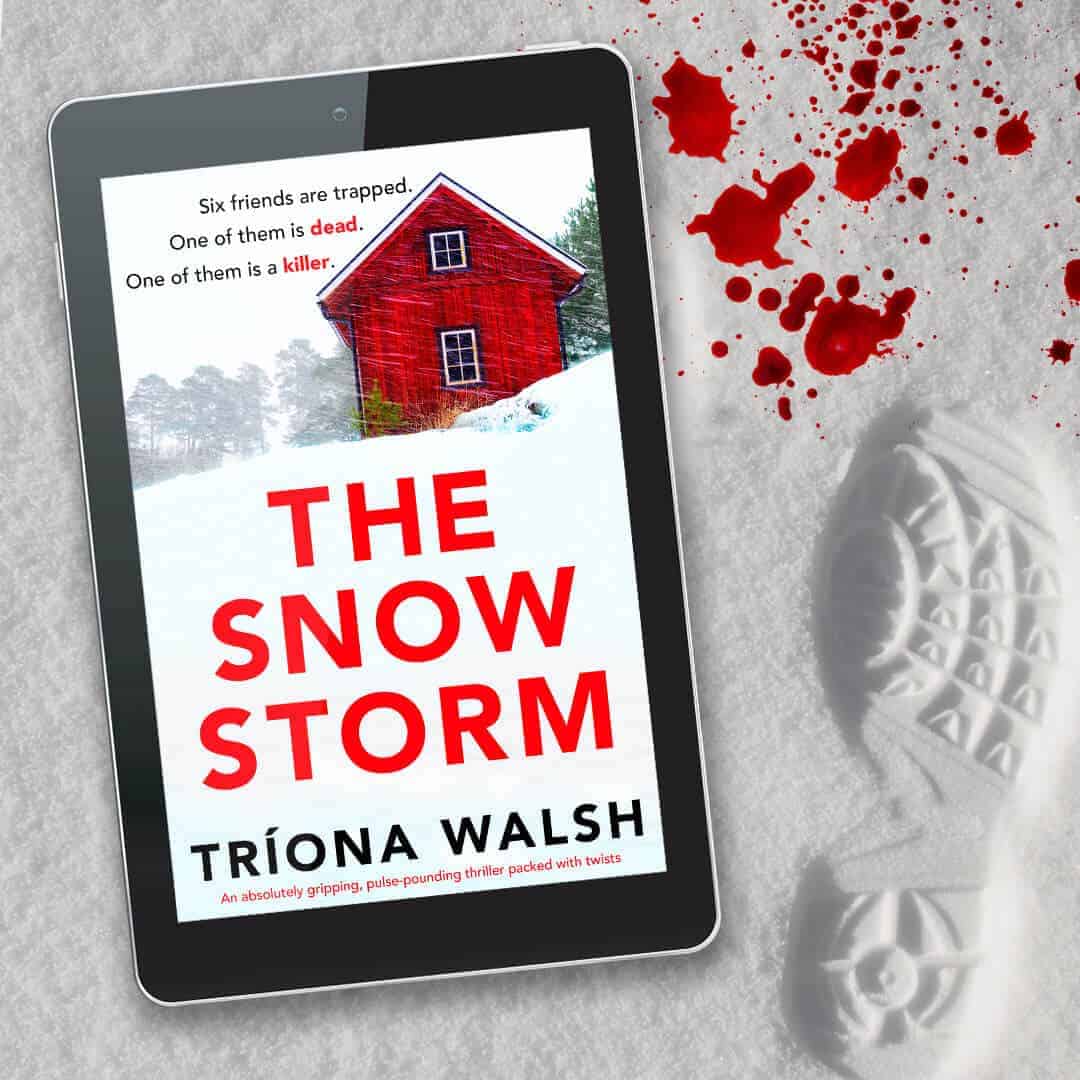 The Snow Storm by Tríona Walsh - Book Review - Rachel Bustin