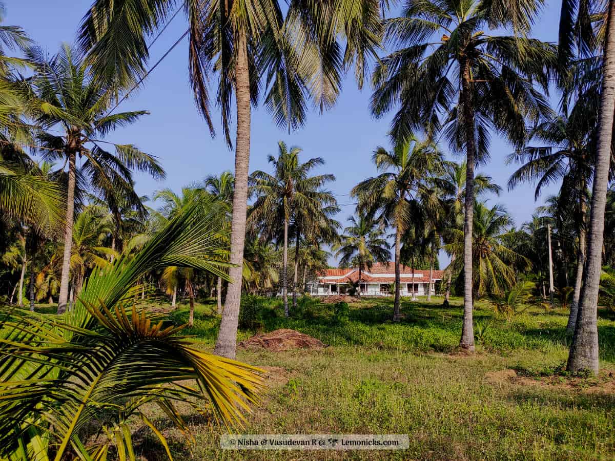 Negombo Sri Lanka: Top 8 Ultimate Things to do in a Day