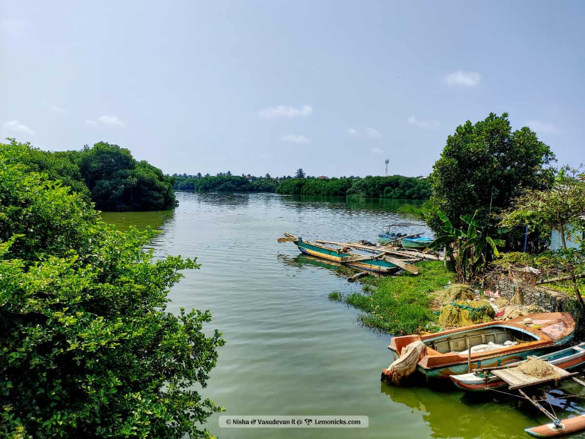 Negombo Sri Lanka: Top 8 Ultimate Things to do in a Day