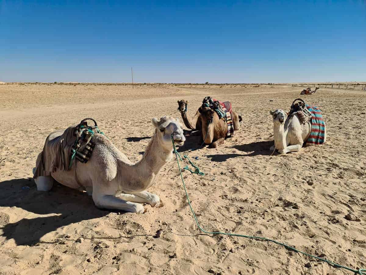 11 Must-See Amazing Places To Visit In Tunisia