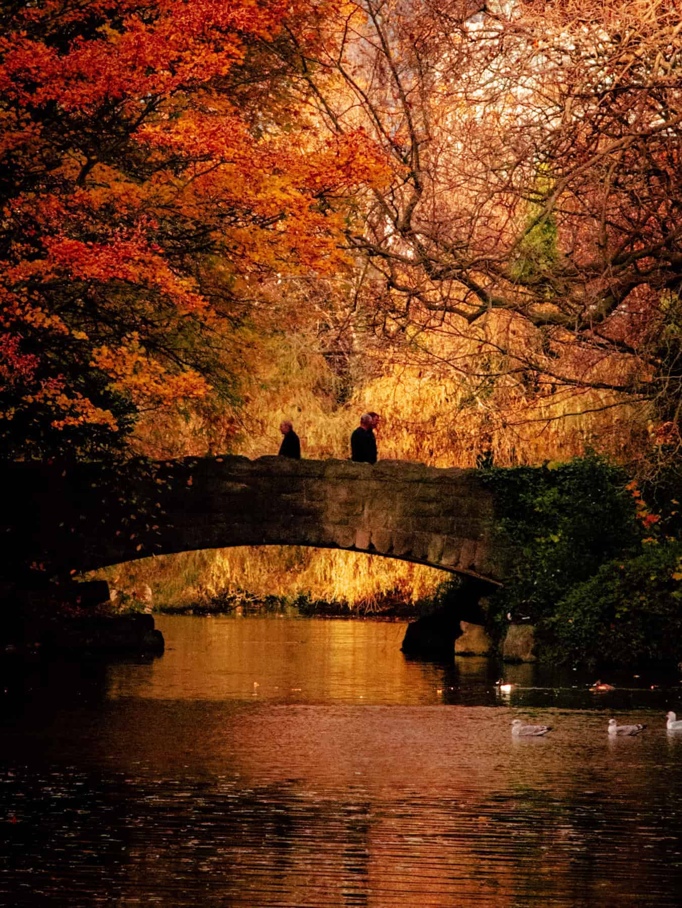 Top Photo Spots for Autumn Colours in Dublin | Travel Ireland Today