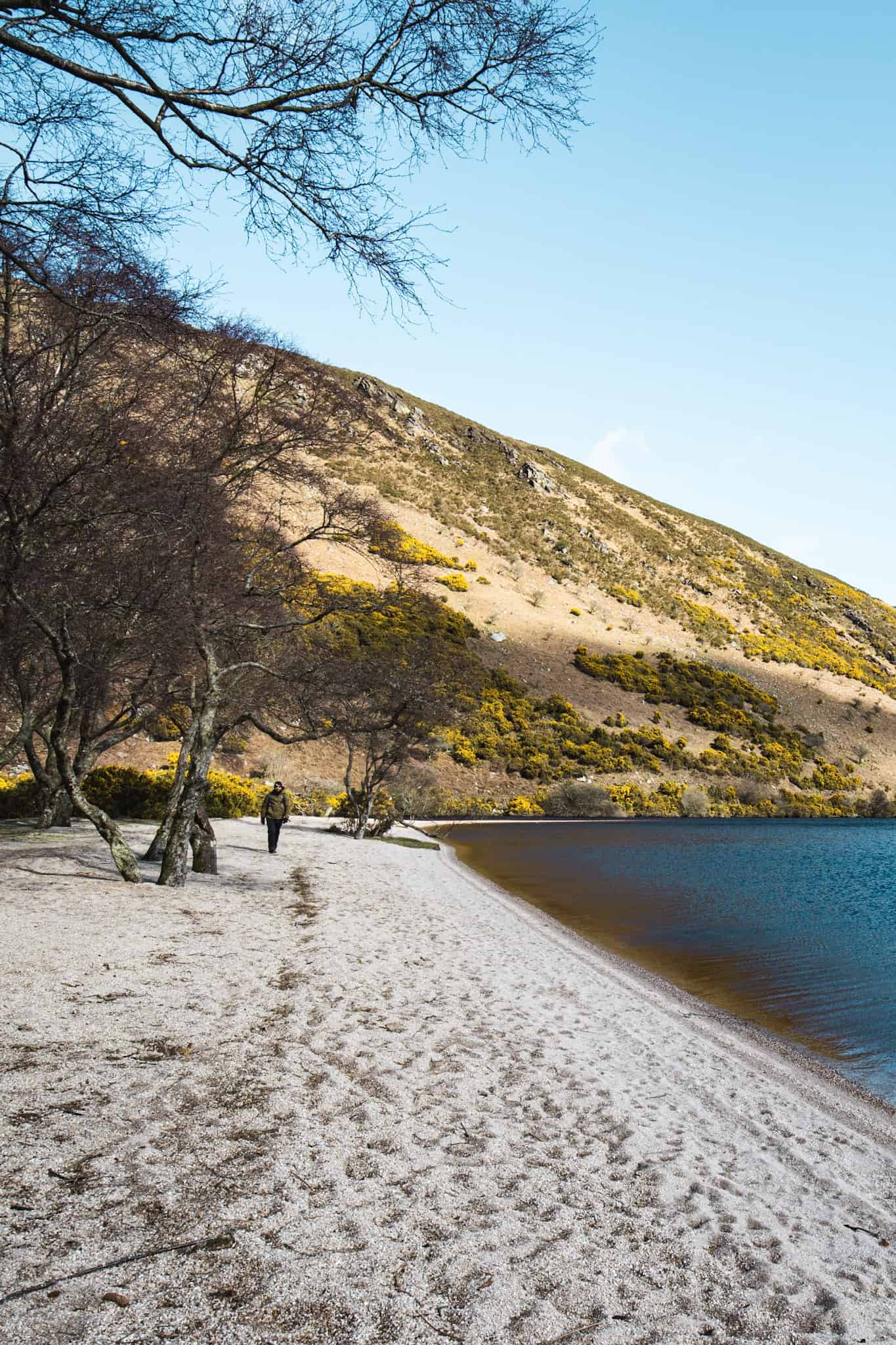 Lough Dan Walk, Everything You Need To Know in 2025