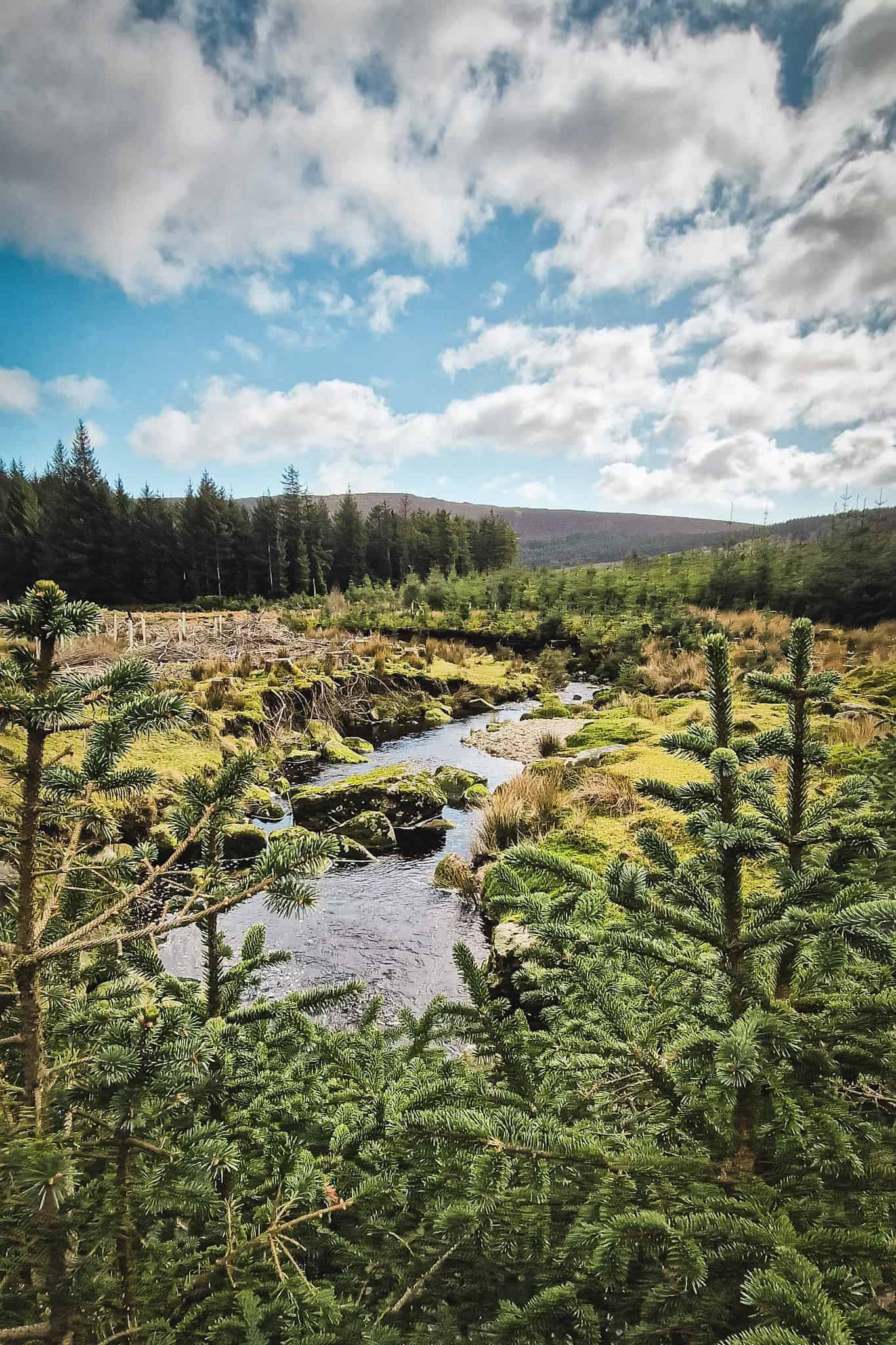 Lough Dan Walk, Everything You Need To Know in 2026