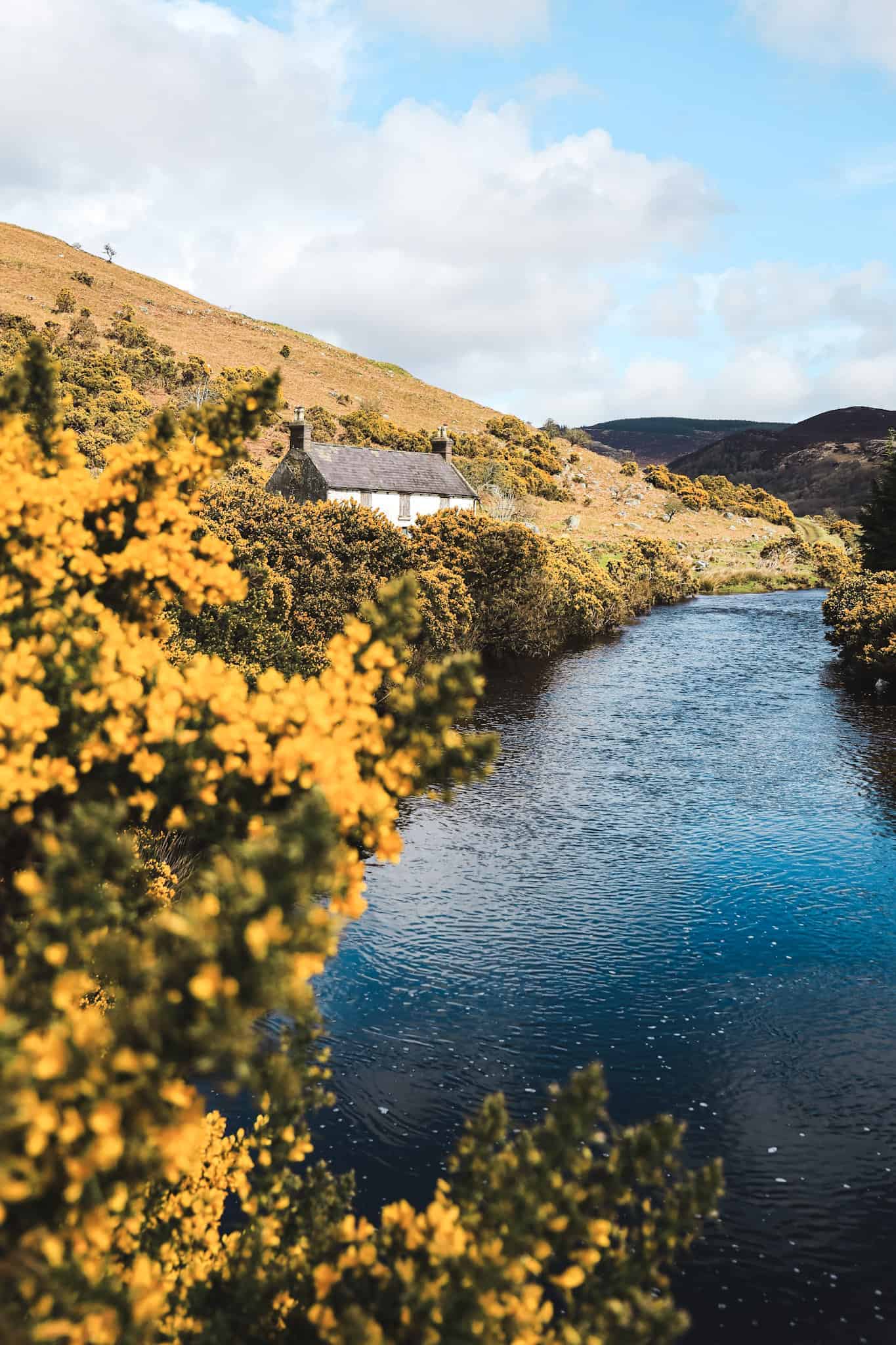 Lough Dan Walk, Everything You Need To Know in 2025