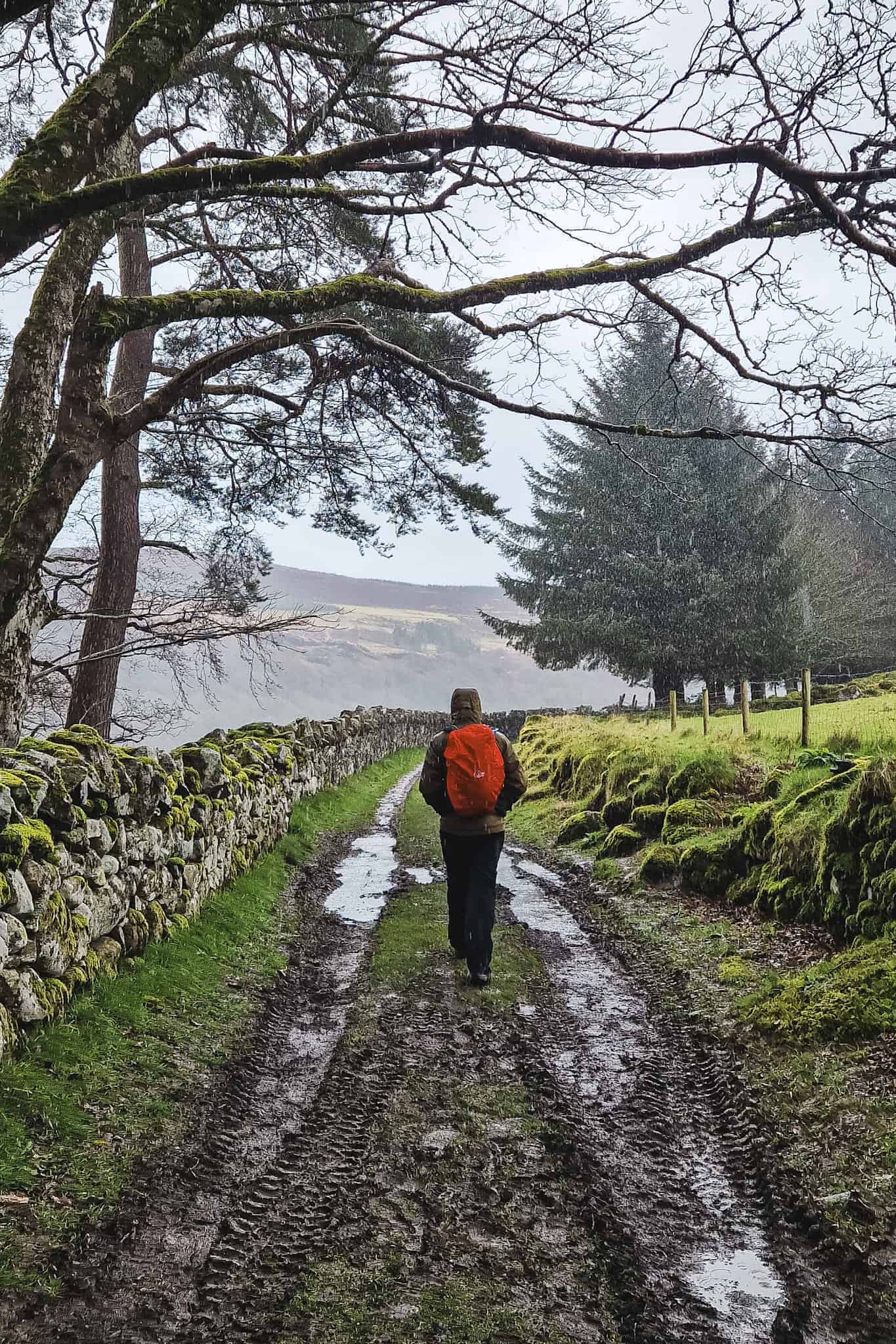 Does It Rain in Ireland All the Time? A Comprehensive Guide | Travel ...