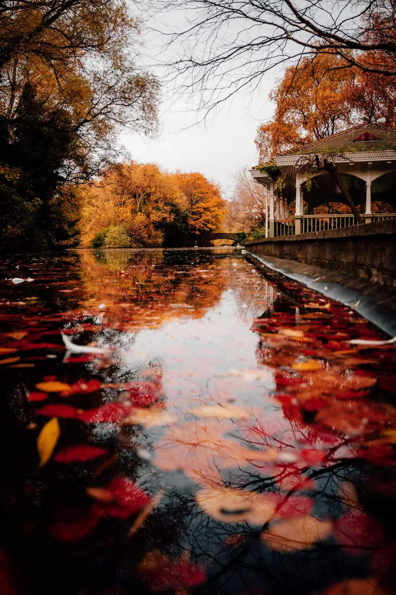 Top Photo Spots for Autumn Colours in Dublin | Travel Ireland Today