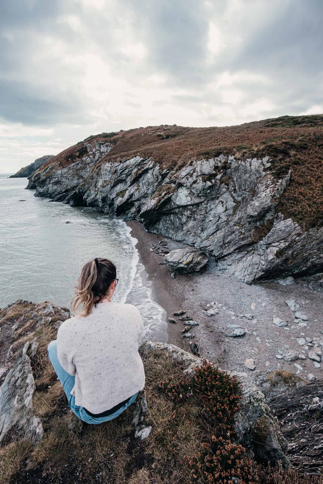 Glen Beach Cliff - Wicklow Coastal walk (with Seal!) | Travel Ireland Today