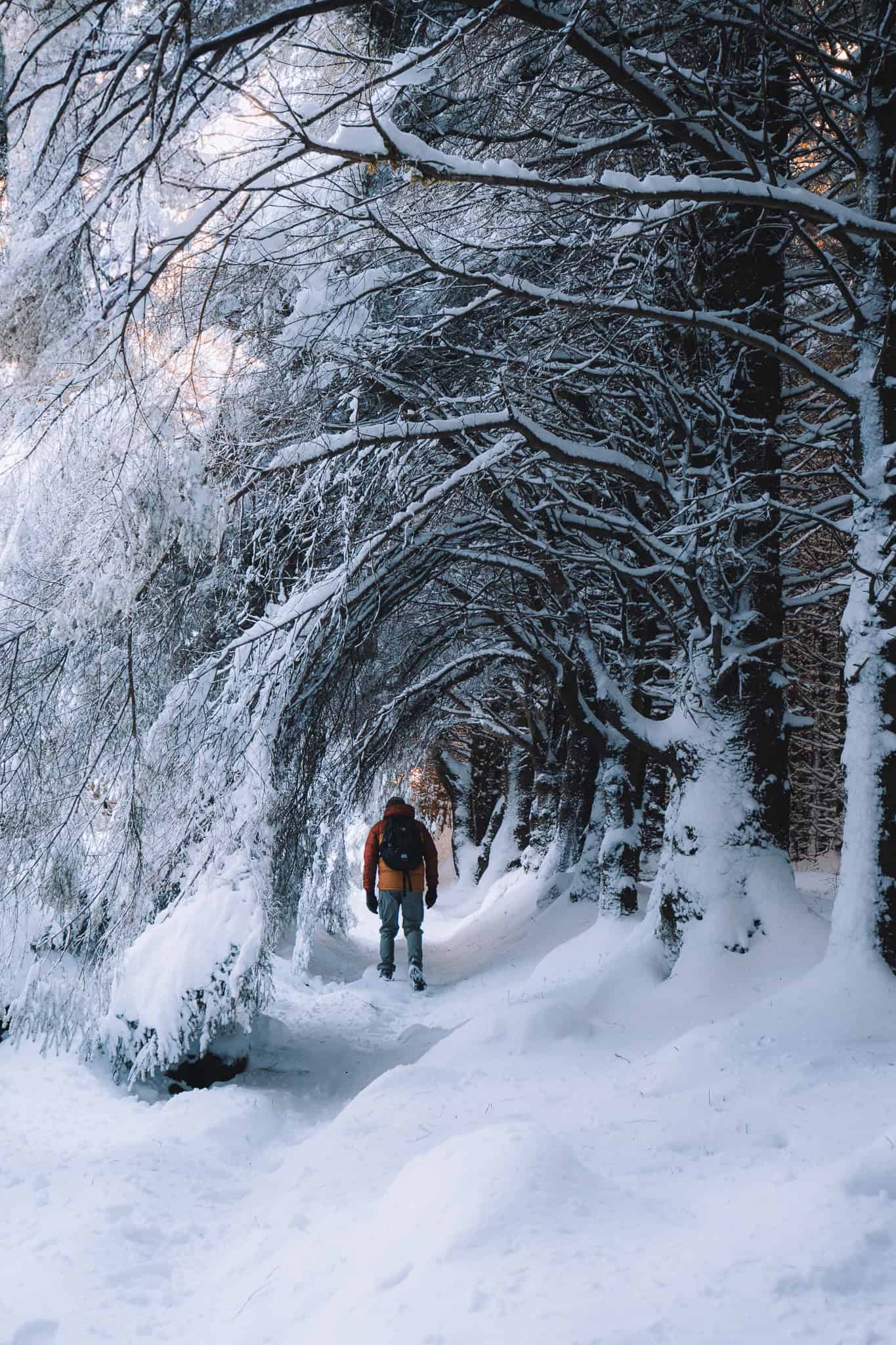 Is Ireland worth visiting in winter? | Travel Ireland Today