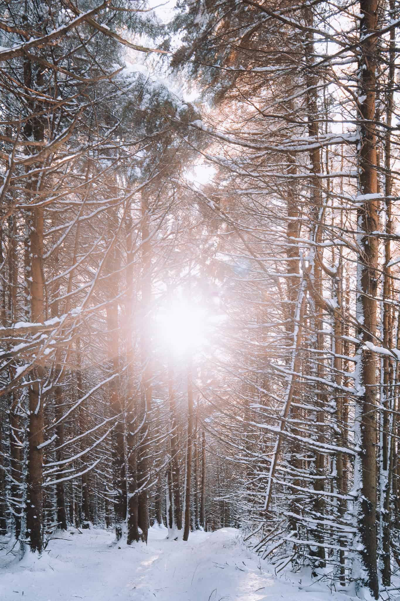 Is Ireland worth visiting in winter? | Travel Ireland Today