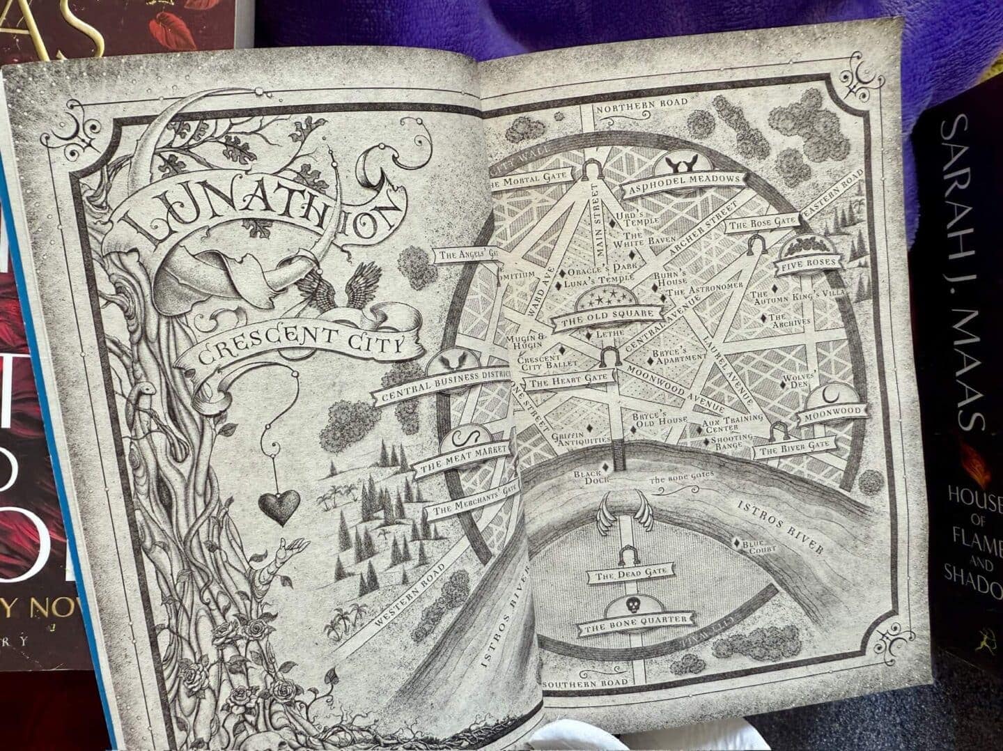 Crescent City Characters and Series Guide - Rachel Bustin