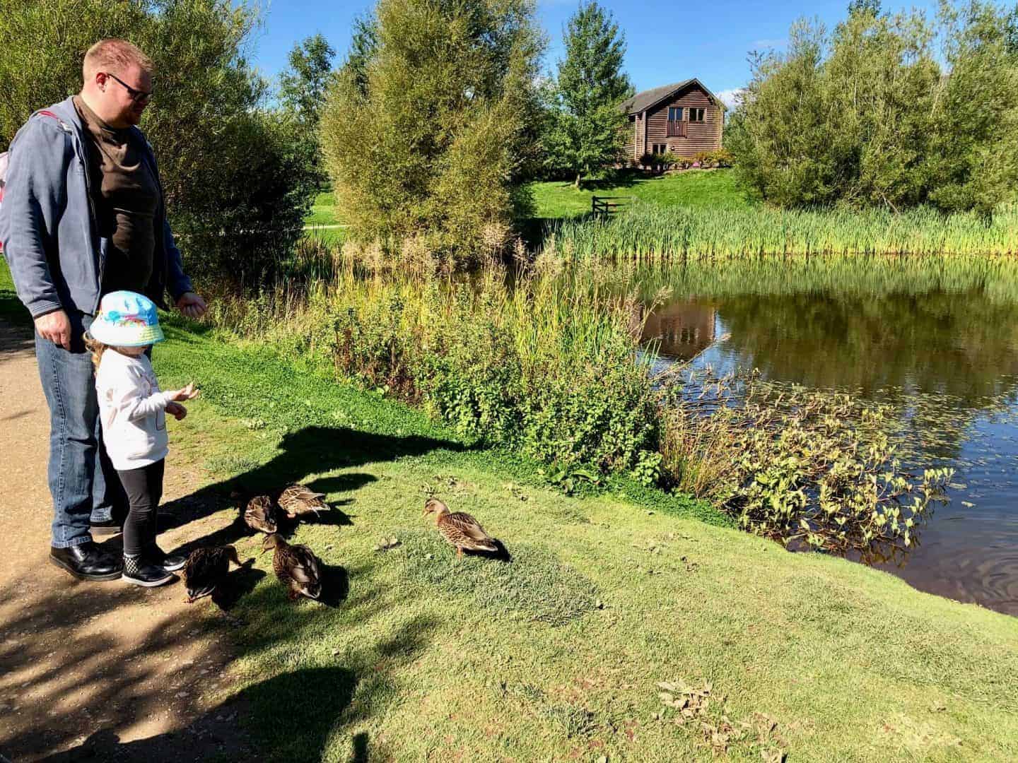 Our Stay At Bluestone National Park Resort - Bwbach Festival and ...