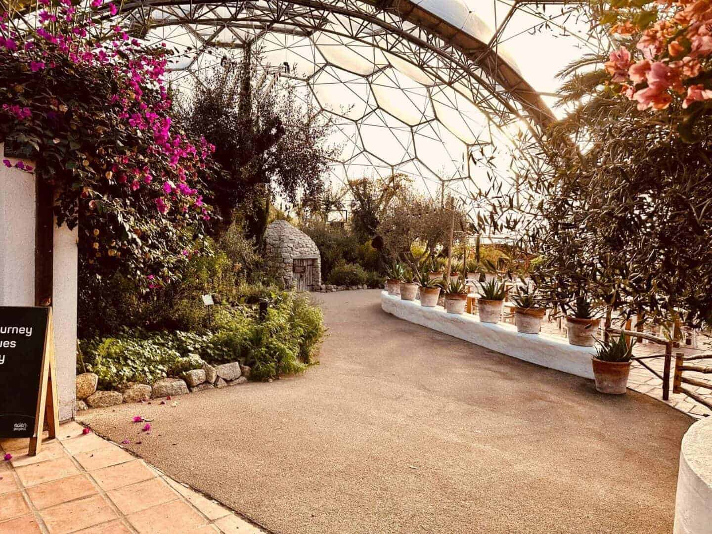 Things To Do In Cornwall May Half Term 2025 - Rachel Bustin