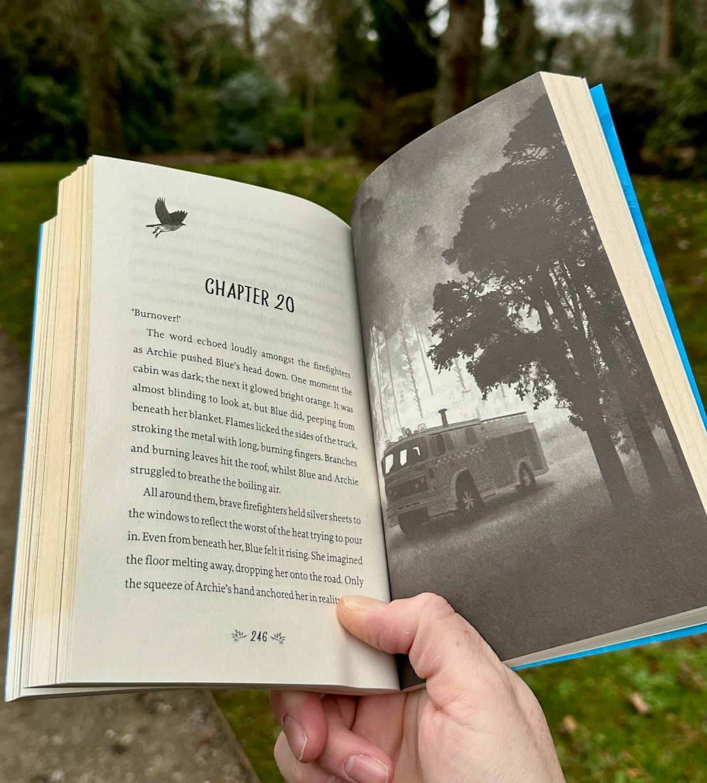 Blue's Planet: Australia by Lucy McRobert - Review - Rachel Bustin