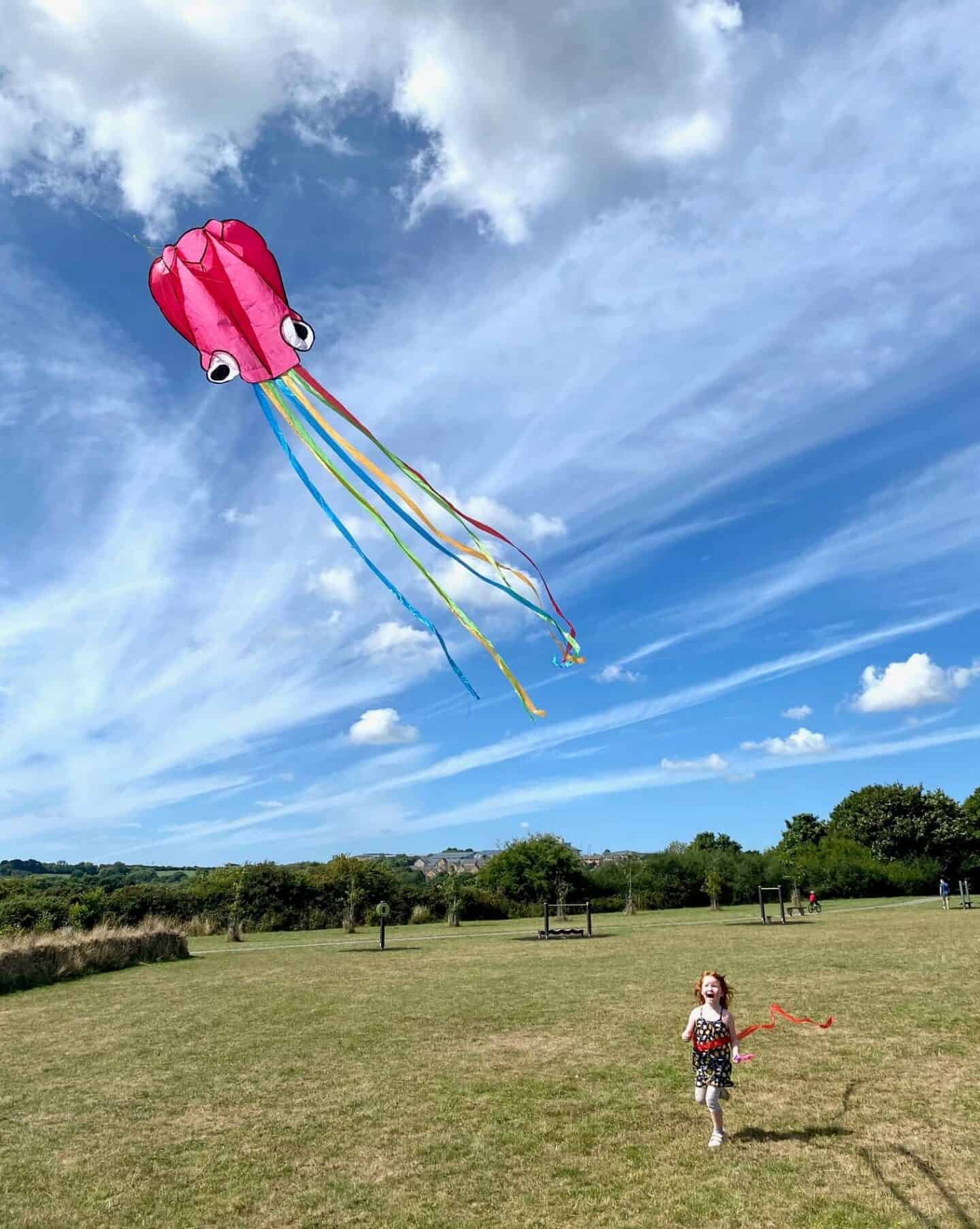 Win a Jumbo Octopus Kite - 4 Metres Long! - Rachel Bustin