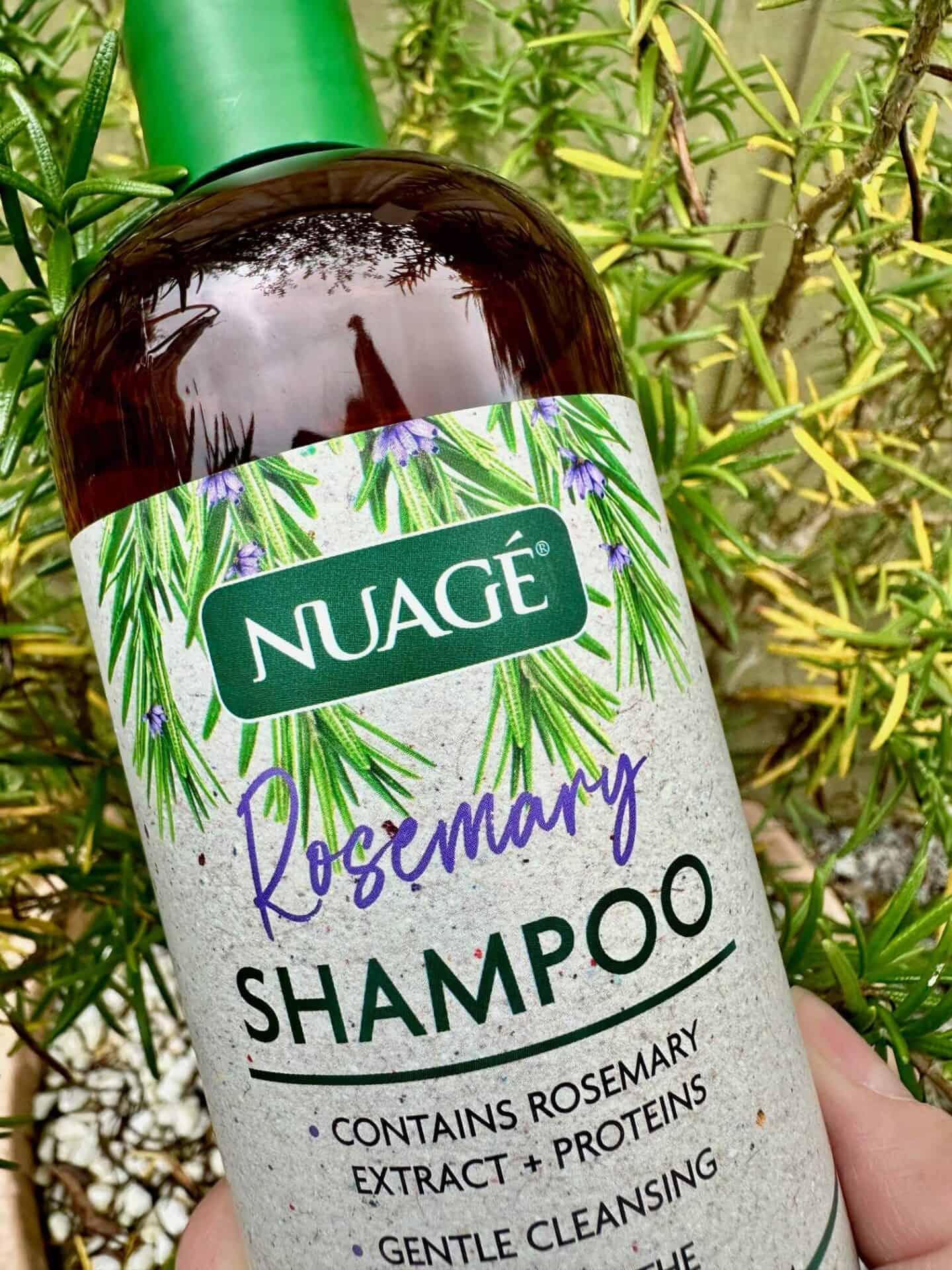 Why Rosemary Shampoo is the Secret to Strengthening Hair - Rachel Bustin