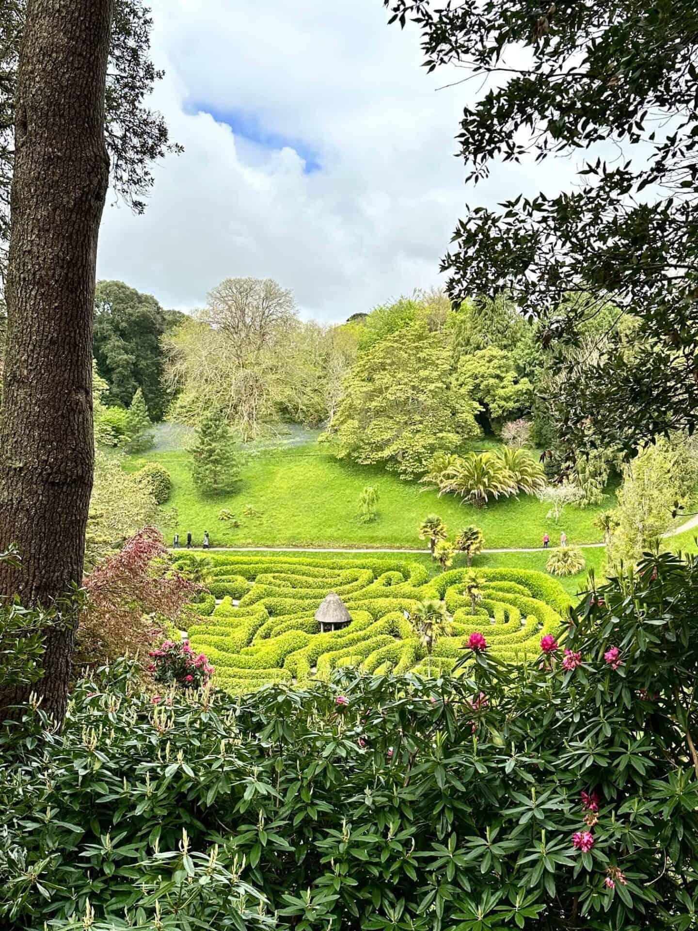 Things To Do In Cornwall May Half Term 2025 - Rachel Bustin