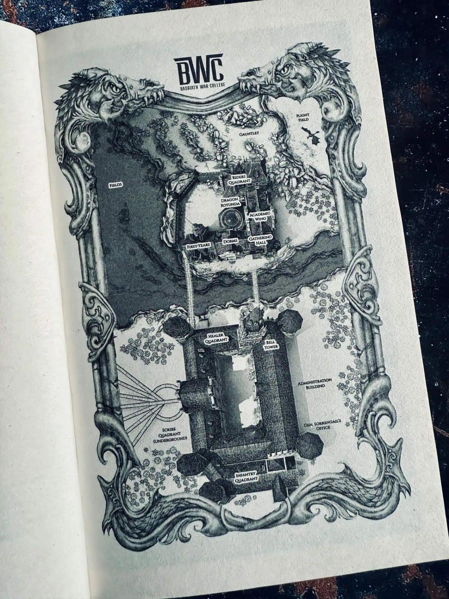 The Ultimate Guide to Fourth Wing Characters and Their Dragons