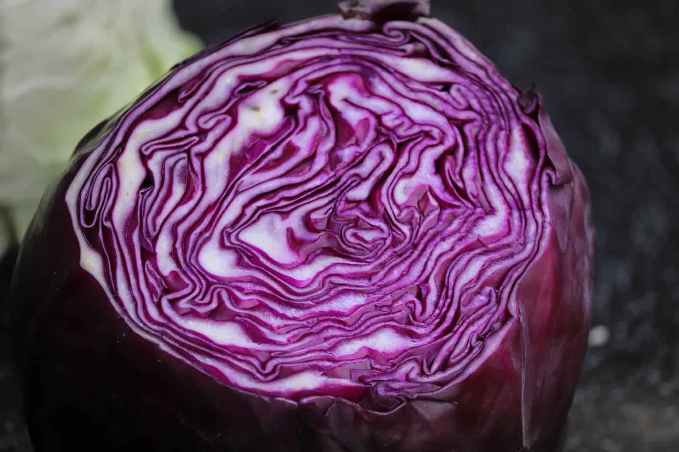 Polish Red Cabbage Soup Recipe - Zupa Z Czerwonej Kapusty - Polish Foodies