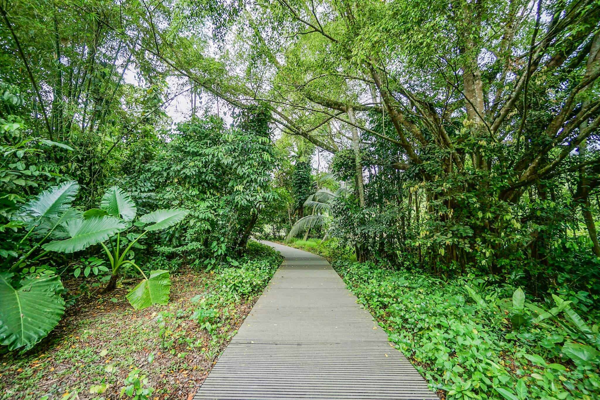 Der TreeTop Walk in Singapur | Barbaralicious