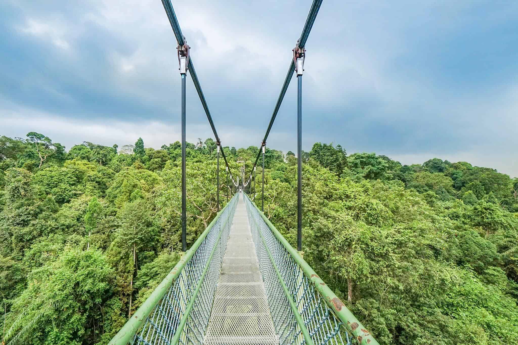 Der TreeTop Walk in Singapur | Barbaralicious