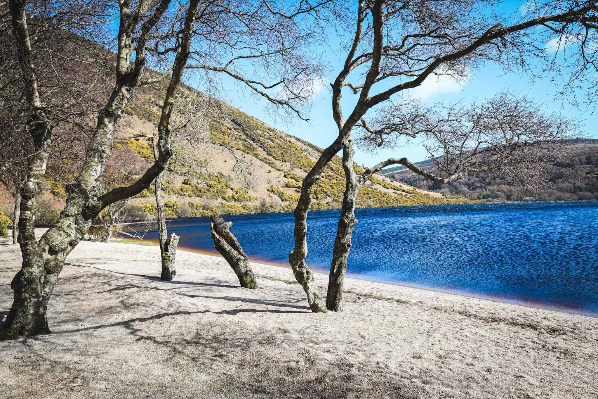 Lough Dan Walk, Everything You Need To Know in 2026