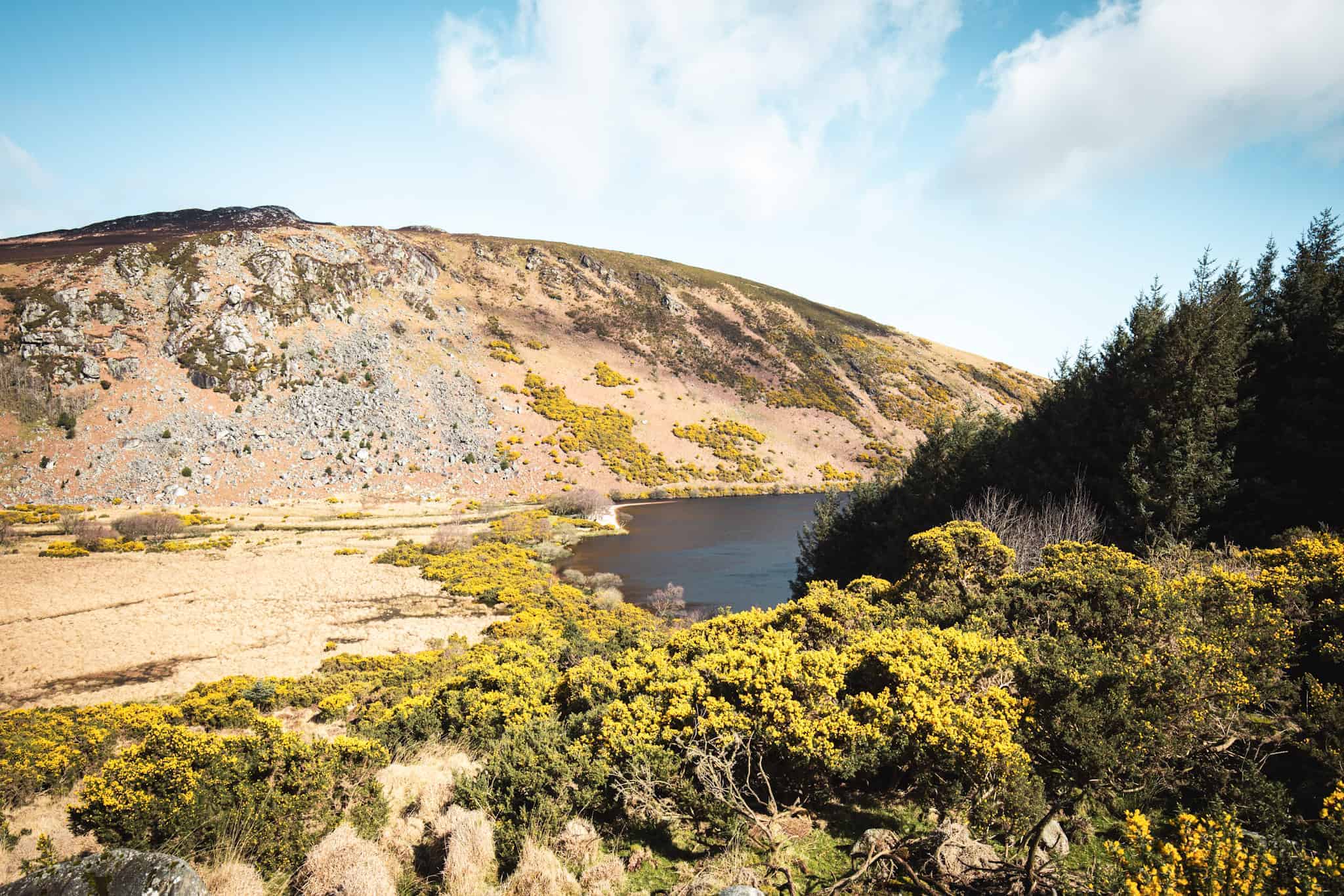 Lough Dan Walk, Everything You Need To Know in 2025