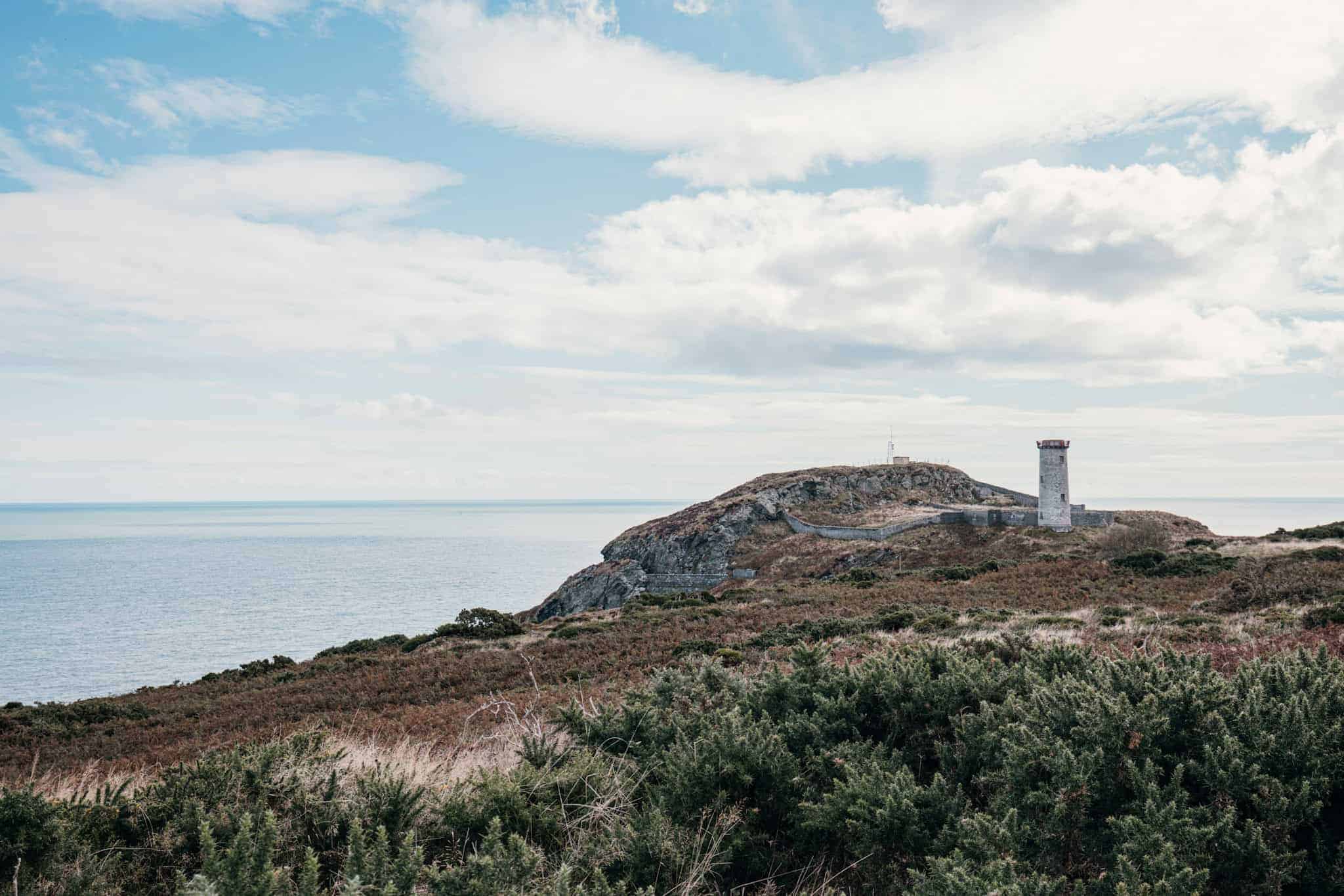 Glen Beach Cliff - Wicklow Coastal walk (with Seal!) | Travel Ireland Today