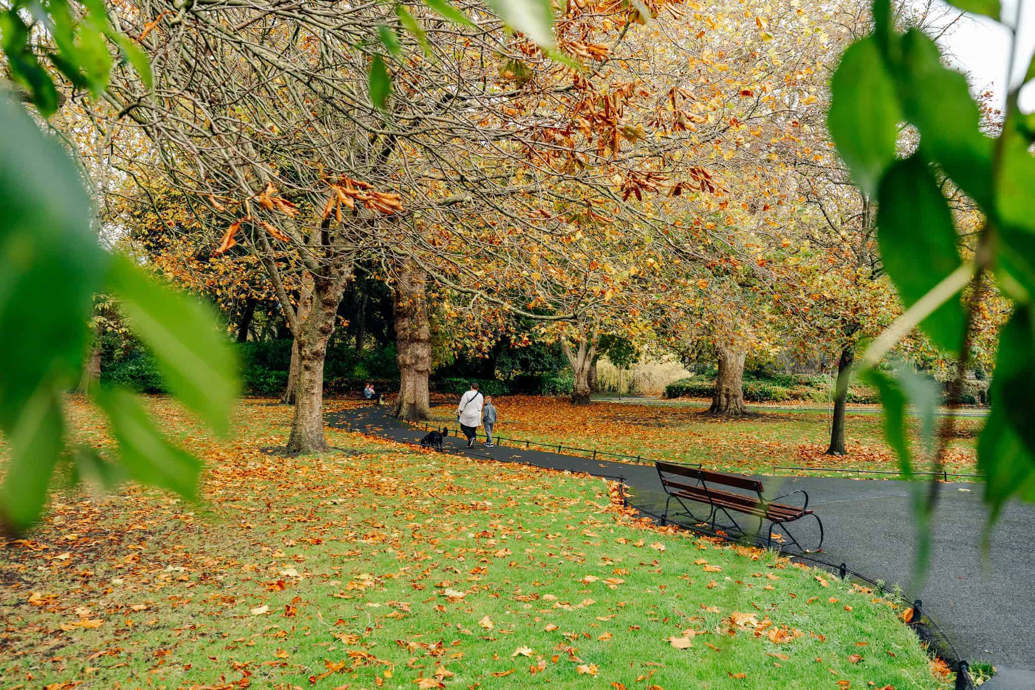 Classic 7-Day Ireland Itinerary: Road Trip + Map! | Travel Ireland Today