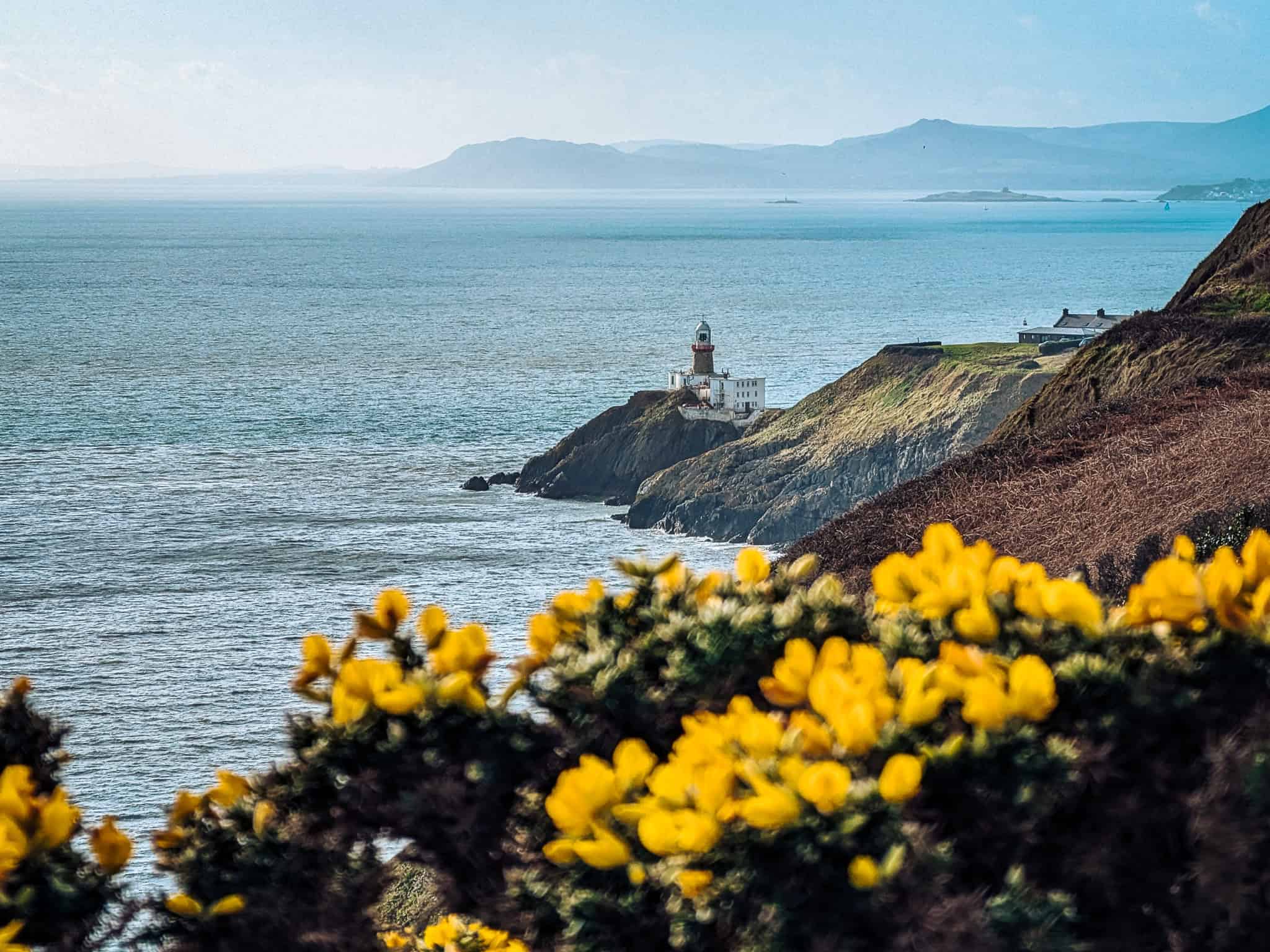 Where to Find Cherry Blossom in Dublin (A Local's Guide) | Travel ...