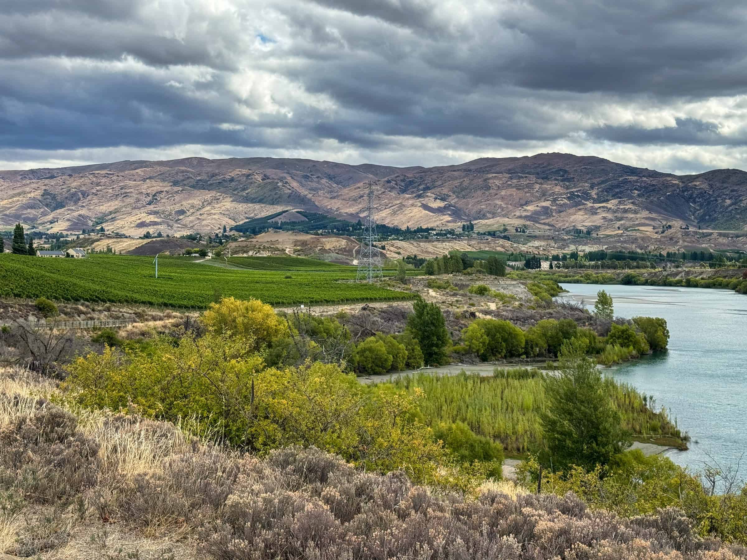 New Zealand's Forgotten Aromatic White Wines : Vinography