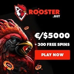 Rooster Bet Casino Review 2023 | Free Spins Bonus
