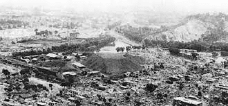 1556 Shaanxi earthquake - NZ Survivor