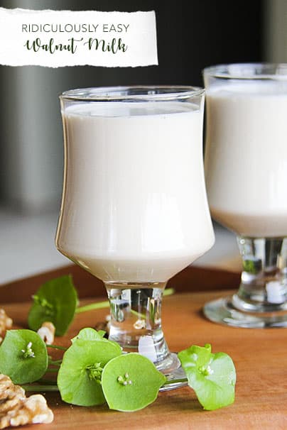 Walnut Milk for Brain Health, Heart Health & Surprising Stuff! - Kind Earth