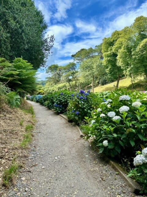 Trebah Garden Review: Exploring a Sub-Tropical Paradise